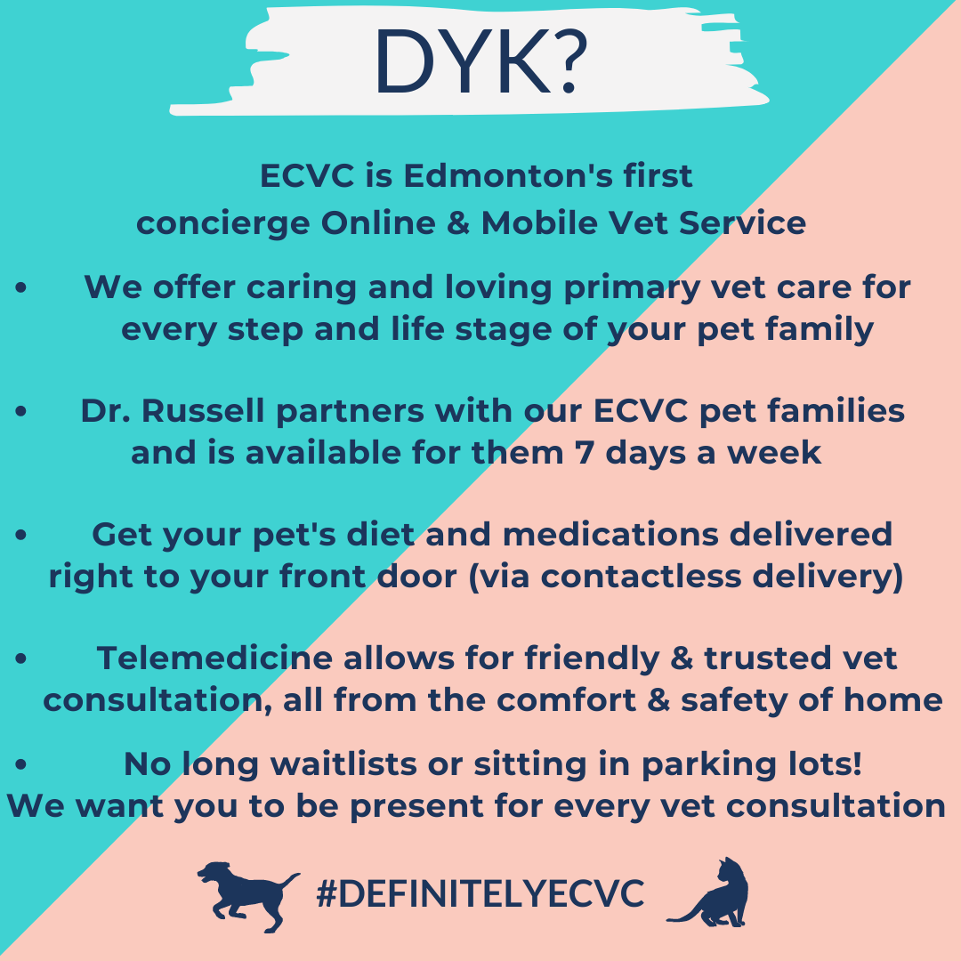 Edmonton’s first concierge vet service – Edmonton Community Veterinary ...